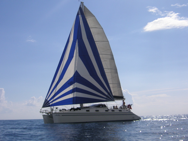 Achat -vente Catamarans occasion - Privilege 39’ Catamaran de grande ...